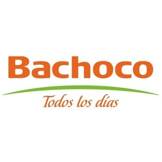 rganigrama y Directiva